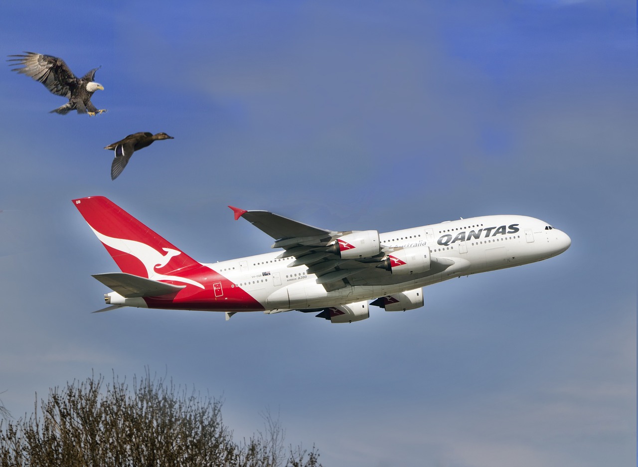 Qantas' Newest Boeing 787 Flies Over Antarctica Between Santiago ...